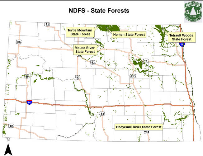 Section 1: Forests | 8th Grade North Dakota Studies
